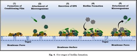 Figure 1 From Fouling Mitigation Strategies For Different Foulants In