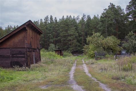 무료 이미지 건물 철도 자연 경관 재산 흙길 땅의 제비 농촌 지역 잔디 외양간 흘리다 경치 도로 농장 목초지 숲 통나무 오두막집 식물 주립