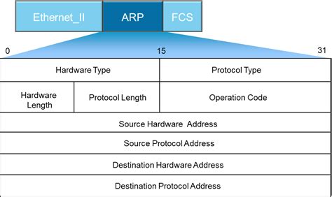 网络基础 —深入理解arp地址解析协议详解 Csdn博客