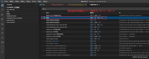 Vscode：自定义快捷键（解决快捷键冲突问题）vs Code 通病：因支持插件安装，导致插件的快捷键与vs Code冲 掘金