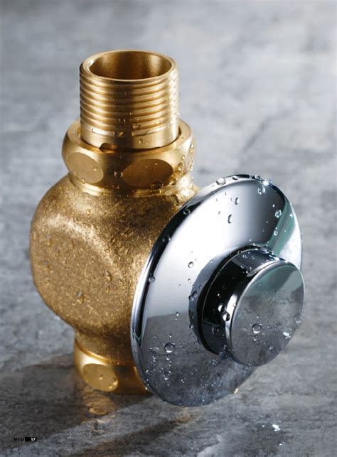 플러시 밸브 숨겨진 수동 물 옷장 플러시 밸브 푸시 버튼 화장실 플러싱 밸브 Buy 은폐 자기 폐쇄 밸브 슬론 은폐 Flushometer 수동 Flushometers