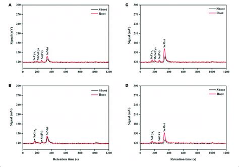 Examples Of Chromatograms Of Se Species In Protease Xiv Extracts Of Download Scientific
