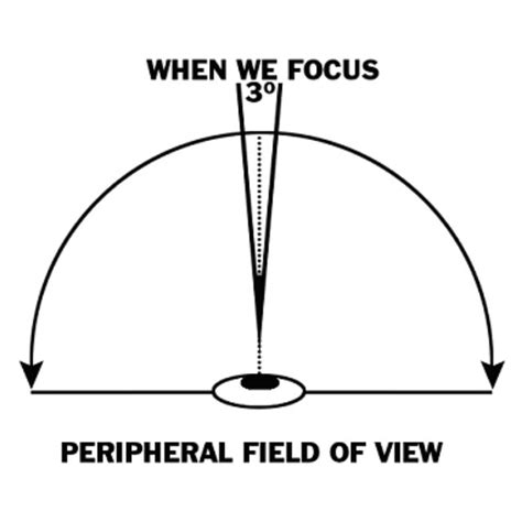How I Learned To Speed Read How You Can Too