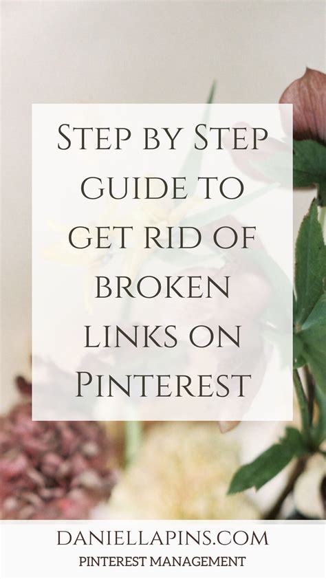 How To Get Rid Of Broken Links On Pinterest Daniella Van Den Huijssen Pinterest Marketing