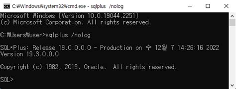 Oracle 오라클 설치하기 Oracle 오라클 설치하기