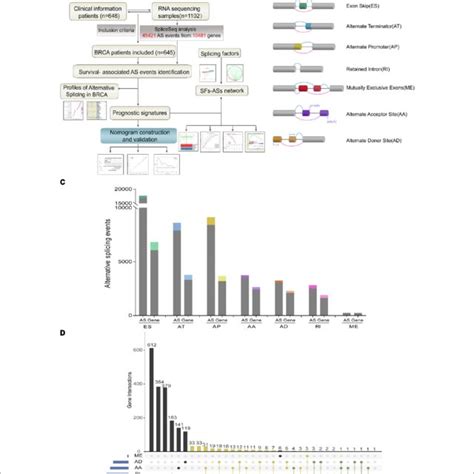 Overview Of As Events Profiling In Brca Cohort A Flowchart For