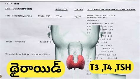 How to Read Thyroid Test Report in Telugu థరయడ గరథ పరకష Thyroid test General