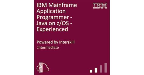 Interskill Ibm Mainframe Application Programmer Java On Zos