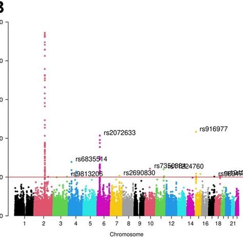 Spatial Genetic Structure Of European Populations And Signals Of