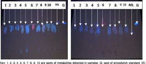 Figure 1 From Investigation On Aflatoxin M1 Content Of Traditional