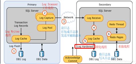 Sqlserver Alwayson同步流程与延迟 墨天轮