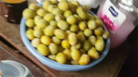 ტყემლის 2 ნახადი არაყი ВОДКА ИЗ ТКЕМАЛИ ГРУЗИЯ ТБИЛИСИ Youtube