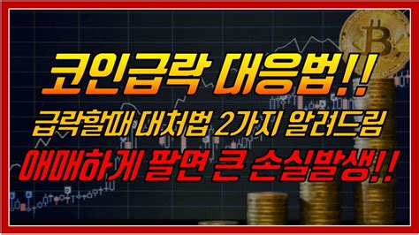 비트코인 급락장 대처 2가지 옵션이 있는데 이를 빠르게 실행해야 합니다 애매하게 실행하면 큰 손실 발생 Youtube