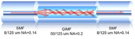 schematic of single mode—graded index multimode—single mode fiber