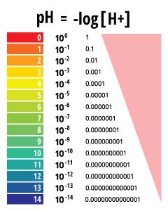 PH Scale Log Model In Chemistry