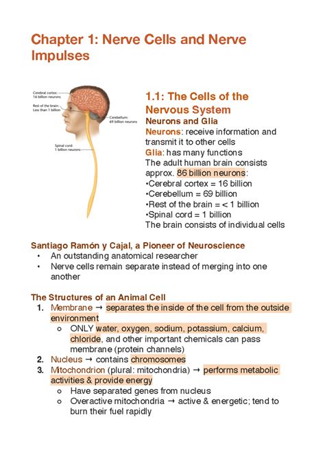 Chapter 1 Nerve Cells And Nerve Impulses Chapter 1 Nerve Cells And Nerve Impulses 1 The