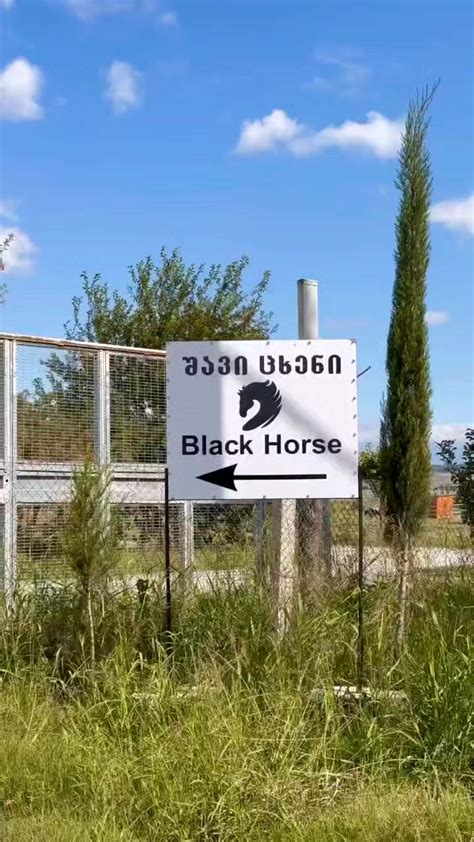 შავი ცხენი” ეს არის ადგილი სადაც შეძლებთ დაისვენოთ და დაუვიწყარი დრო გაატაროთ ოჯახთან ან