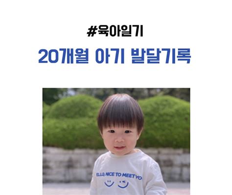 20개월 아기 발달 언어 발달 놀이 장난감 네이버 블로그