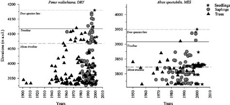 Spatio Temporal Distribution Of Tree Recruitment Within The Transects