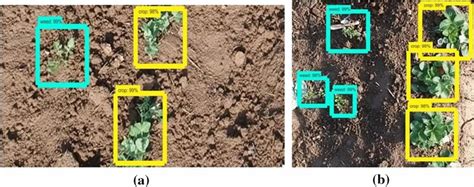 Crops And Weed Recognition With A Confidence Score For The Developed