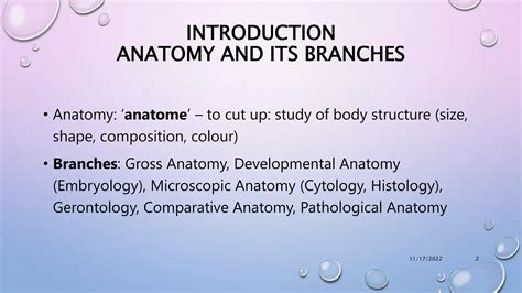 Anatomy 1pptx
