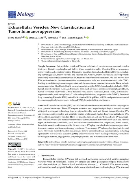 Extracellular Vesicles New Classification And Tumor Immunosuppression Pdf