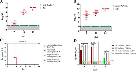efficient cross protection against serotype 4 8a fowl adenoviruses fadvs recombinant fadv 4