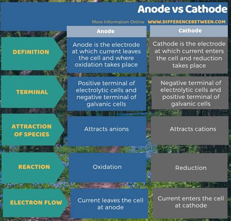 7 Segment Anode Vs Cathode Companieskery