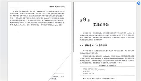 诧异！如果早点看这本mybatis技术原理实战，我吊打面试官 Csdn博客