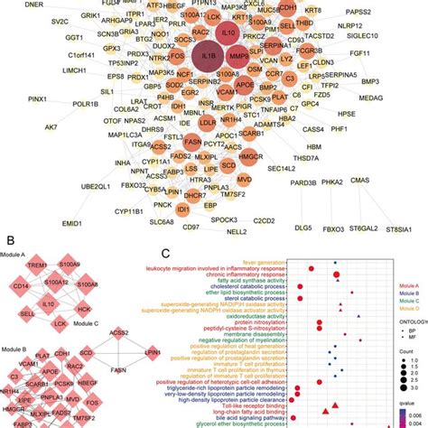 Ppi Network Analysis Of Differentially Expressed Mrnas And