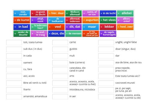 lista cuvinte extra propozitii adjective din lectie online une las