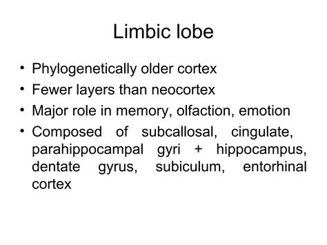 Limbic System Ppt