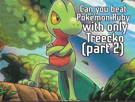 Can you beat Pokémon Ruby with only Treecko Chapter 2 The Struggle against fire types