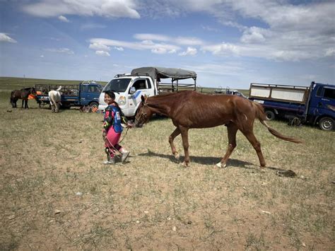 Дорноговь аймгийн Дорноговь аймгийн Иххэт сумын ЗДТГ
