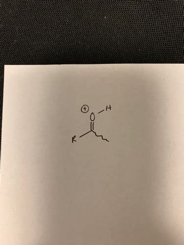 Orgo Test 1 Flashcards Quizlet