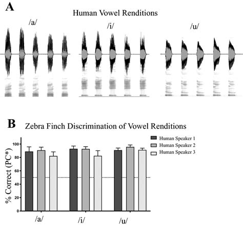 A Time Waveform Top And Spectrogram Bottom Of A Single Human