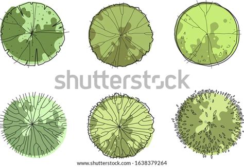 Architecture Sketch Green Trees Top View Stock Vector Royalty Free 1638379264 Shutterstock