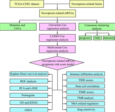 Flow Diagram Of Full Text Data Download Scientific Diagram