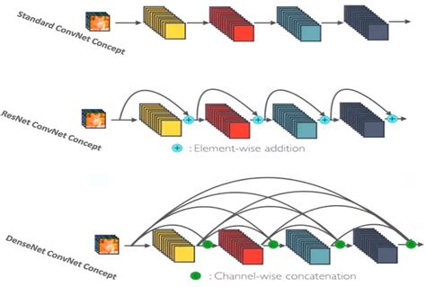 Comparison Of Resnet And Densenet Residual Connections Download