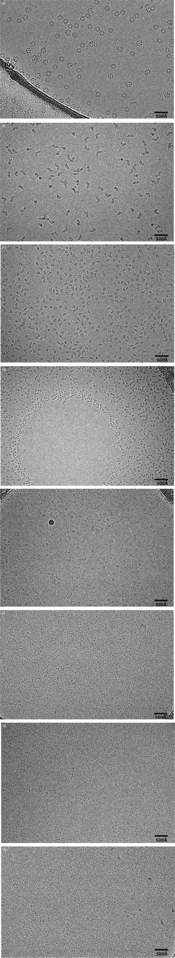 Single Particle Electron Cryomicroscopy Trends Issues And Future