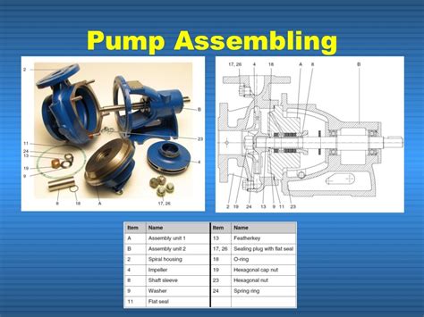Single Stage Centrifugal Pump Assembly