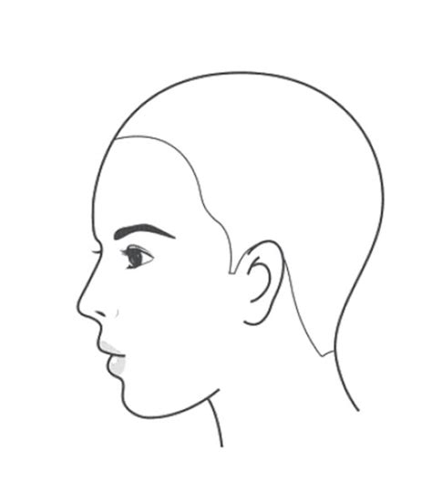 커트교육 헤어재교육 커트의 조형법칙 커트 테크닉 2섹션나누기 커트시손가락위치 두상의포인트명칭 머리위치 네이버 블로그