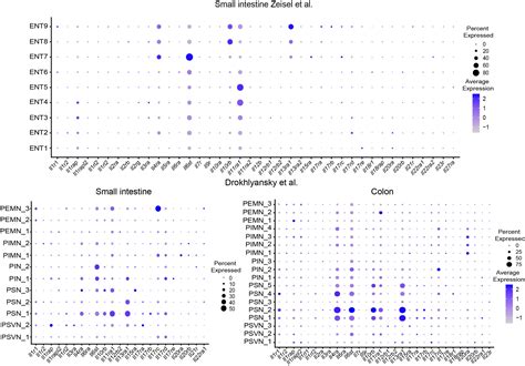 Frontiers An Integrated View On Neuronal Subsets In The Peripheral