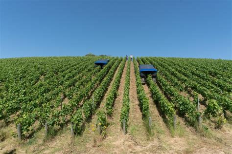 Start Up Of The Day Vineyards Operated By Robots Io