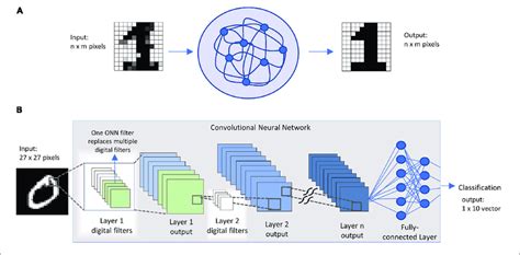 a image inference process in an oscillatory neural network b