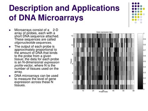 Ppt Detection And Compensation Of Cross Hybridization In Dna