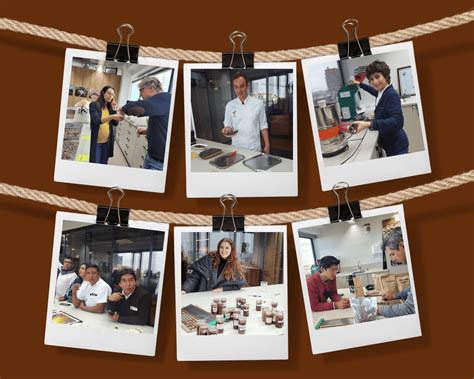 From Bean To Liquor The Evolution Of Cocoa Quality Evaluation At Daarnhower And Co Daarnhouwer