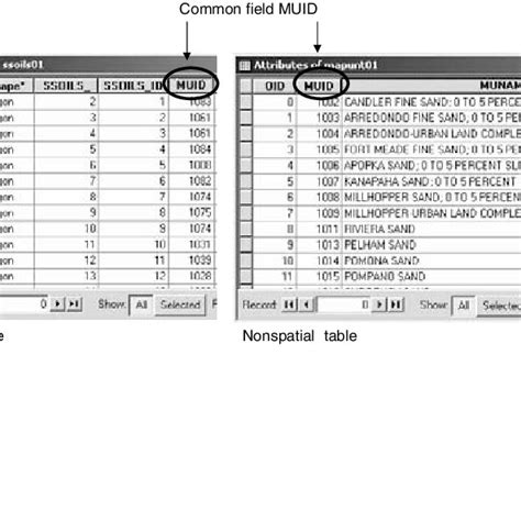 2 Spatial And Nonspatial Tables From Ssurgo The Tables Are Stored In
