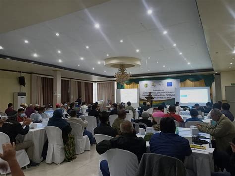 Mnlf Peacegovph